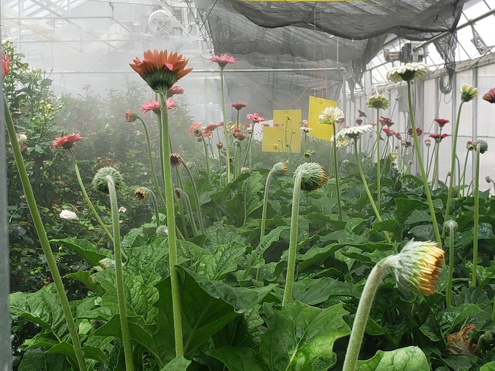 Home - Plant Sciences - Cal Poly, San Luis Obispo